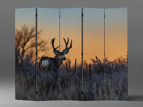 Liox Paraván jelen v západu slunce Rozměr: 225 x 180 cm