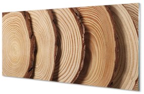 akrylový obraz plátky obilí dřeva 120x60 cm