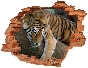Wallmuralia Díra 3D fototapeta nálepka Tygr na stromě 90x70 cm