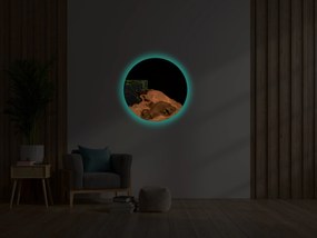 WOODY'S Rustikální zrcadlo s LED osvětlením