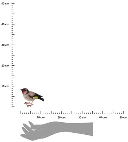 Zahradní figurka z polyesterové pryskyřice Bird, 12x8,5 cm, vícebarevná