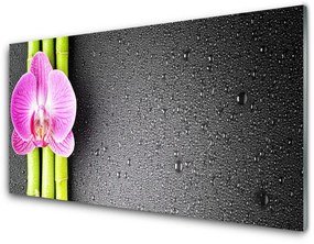 Obraz na skle Bambus Květ Orchidej 100x50 cm