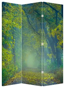 Paraván - Cesta lemovaná stromy (126x170 cm)