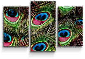 Sablio Obraz - 3-dílný Paví peří - 75x50 cm