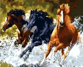 NORIMPEX Malování podle čísel Tři cválající koně (1008911) / 40x50 cm