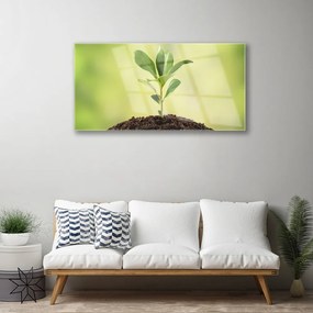 Obraz na skle Půda Rostlina Růst 120x60 cm