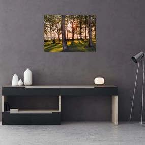 Skleněný obraz stromů u jezera (70x50 cm)