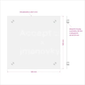 ACCEPT Hlavní orientační tabule Clear CL4 - rozměr 500 x 500 mm