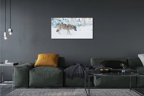 Obrazy na plátně Vlk v zimě lese 140x70 cm
