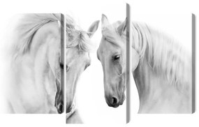 Vícedílný obraz Dva Koně Na Bílém Pozadí Nedostatek Nedostatek Přírodní plátno 90x60