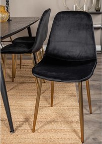 Venture Home Jídelní židle 2 ks Polar samet [444704] Barva: černá a mosazná