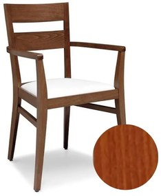 Dřevotvar Židle K6 čalouněná, buk, odstín calvados