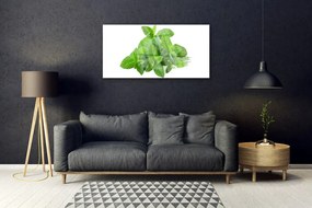 Obraz na skle Máta Rostlina Příroda 100x50 cm