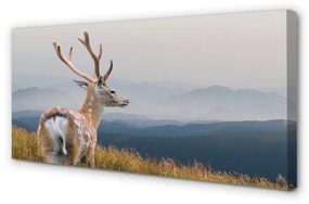 Obrazy na plátně jelen hory 140x70 cm