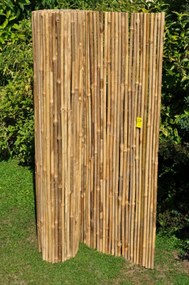 Axin Trading Bambusový plot 100x300 cm