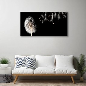 Obraz na plátně Pampeliška Květ Kapky 125x50 cm