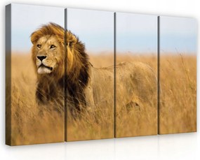 Obraz 120x80 Lev savana divoká příroda Afrika síla klid moderní