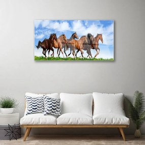 Obraz na skle Cválající Koně na Pastvině 100x50 cm