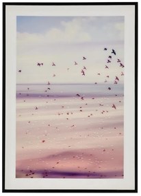 BIZZOTTO Tisk na plátně VOYAGE II 50x70cm 0245245
