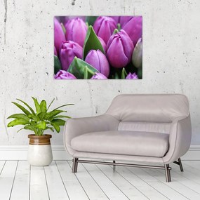 Skleněný obraz - květy tulipánů (70x50 cm)