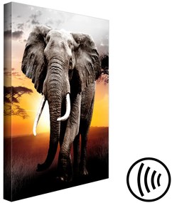 Obraz Důstojný portrét (1-dílný) - slon na teplé savaně v Africe