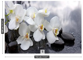 Fototapeta Orchidejové kameny 104x70