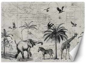 Gario Fototapeta Vintage mapa a savana - Andrea Haase Materiál: Vliesová, Rozměry: 200 x 140 cm
