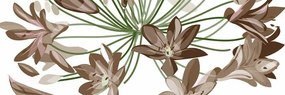 Vliesová fototapeta Dimex Brown Flowers M-332 | 330x110cm