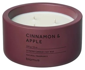 Vonná sojová svíčka doba hoření 25 h Fraga: Cinnamon &amp; Apple – Blomus