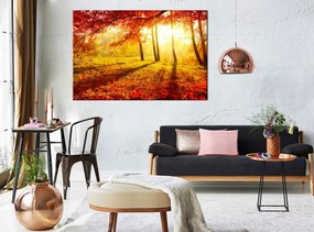 Malvis ® Obraz podzimní záře Velikost (šířka x výška): 120x80 cm