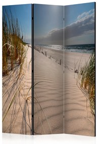 Paraván - Beach in Mrzezyno [Room Dividers]