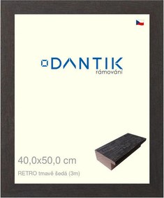 DANTIK rámeček 40x50 | RETRO tmavě šedá (Plexi Čiré)