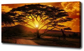Wallmuralia Foto obraz na plátně Západ Afrika 100x50