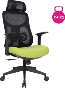 Ergonomická kancelářská židle LERO - černá síťovina / zelená látka / nosnost 150 kg