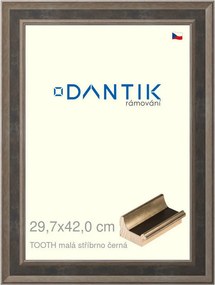 DANTIK rámeček 29,7x42 | TOOTH malá stříbrno černá (Plexi Čiré)