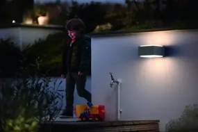 Philips Hedgehog 42W šedá / Venkovní nástěnné svítidlo / E27 / IP44 /
