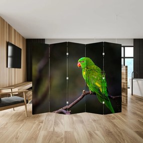 Paraván - Papoušek na větvi (210x170 cm)