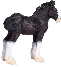 Mojo Shirský kůň hříbě