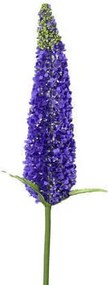 XXXLutz UMĚLÁ KVĚTINA 79 cm - Umělé květiny - 0037540BQ801