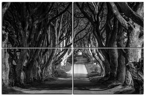 Obraz na plátně - Tmavé ploty v  Irsku 1134QE (150x100 cm)