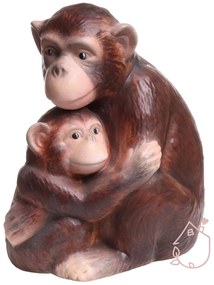 Opice Abu s mládětem