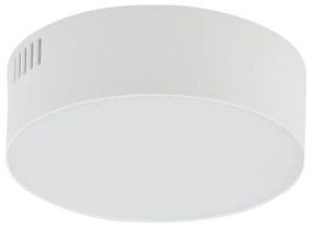 LID ROUND LED 15W 4000K WHITE  - 10411