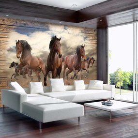 Fototapeta - Cval koně na dřevěných prken (254x184 cm)