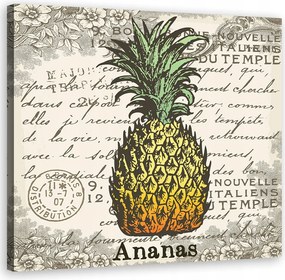 Obraz, Ananas vintage 50x50