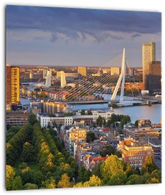 Obraz - Panorama Rotterdamu, Nizozemsko (30x30 cm)