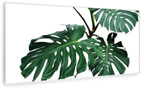 Klarstein Wonderwall Air Art Smart, infračervený ohřívač, 120 x 60 cm, 700 W, zelený list