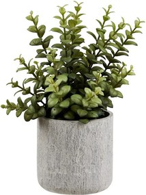 Umělá květina (výška 33,5 cm) Succulent – House Nordic