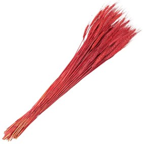 Sušené květy pšeničná tráva červená 80 cm (200 g) – 80  cm