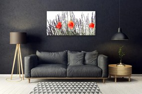 Plexisklo-obraz Květiny Máky Pole Trávy 100x50 cm
