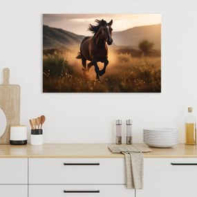 Obraz na plátně - Kůň v divoké přírodě FeelHappy.cz Velikost obrazu: 120 x 80 cm